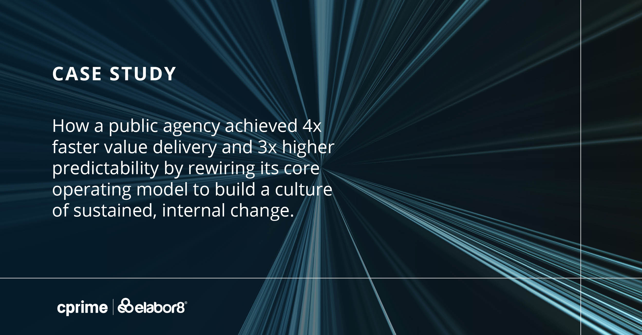 Orchestrating enduring change: The public agency CoE model Elabor8